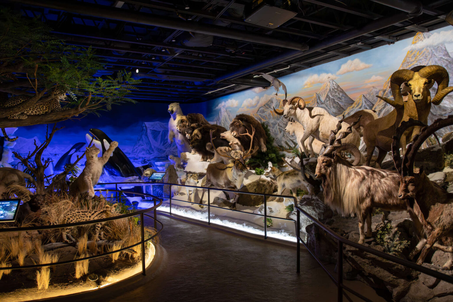 Home - Blackhawk Museum