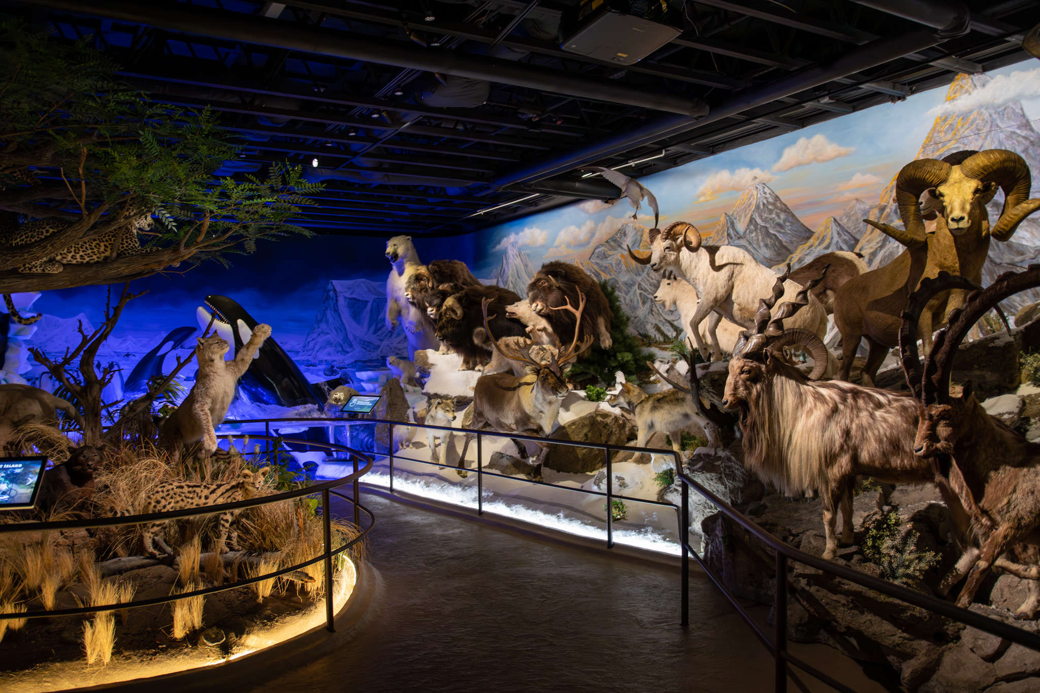Home - Blackhawk Museum